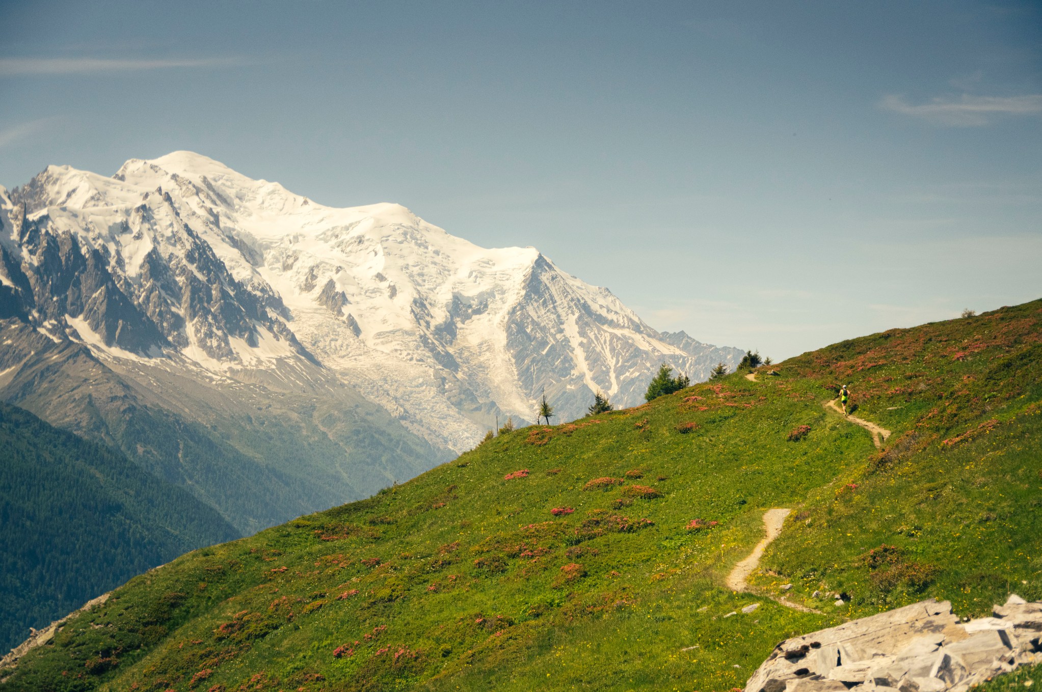 PRO TRAIL RUNNERS ASSOCIATION